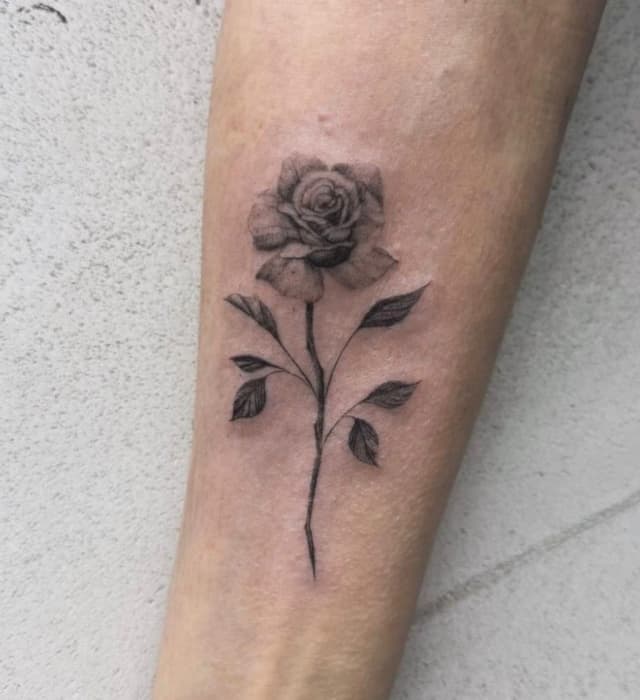 Noelle Mondoloni — Fineline & Ornamental Tattoo | Hessen | Electric07 ...